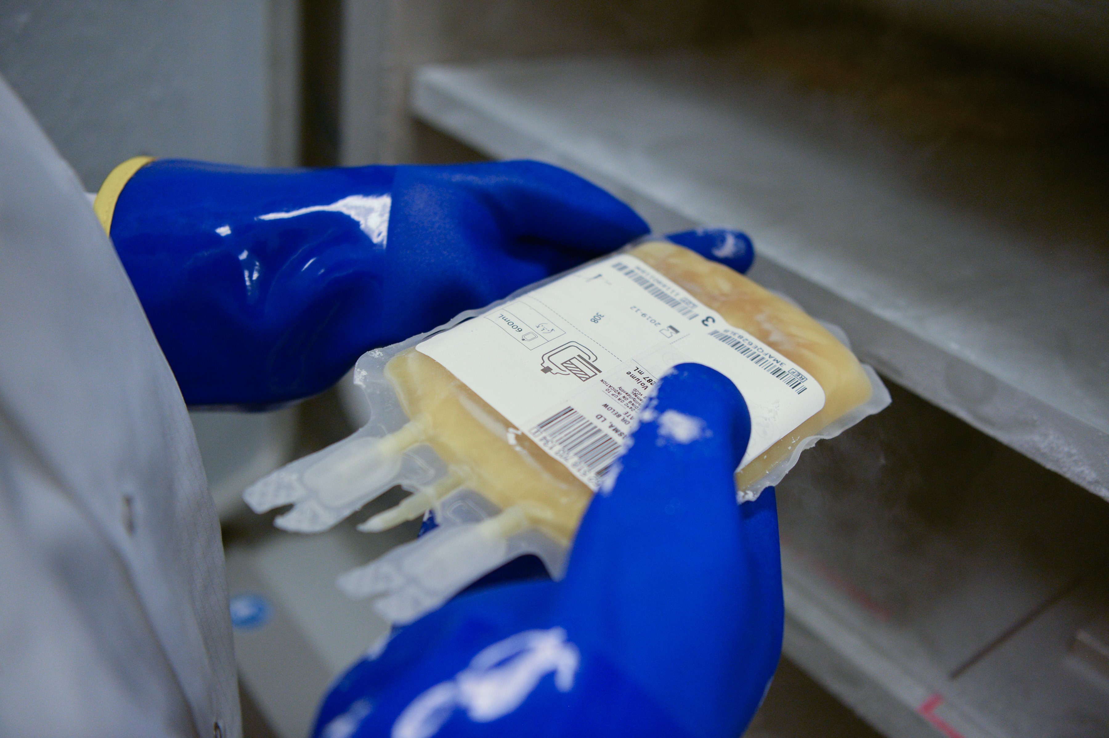 Annual reports - Blood Stocks Management Scheme