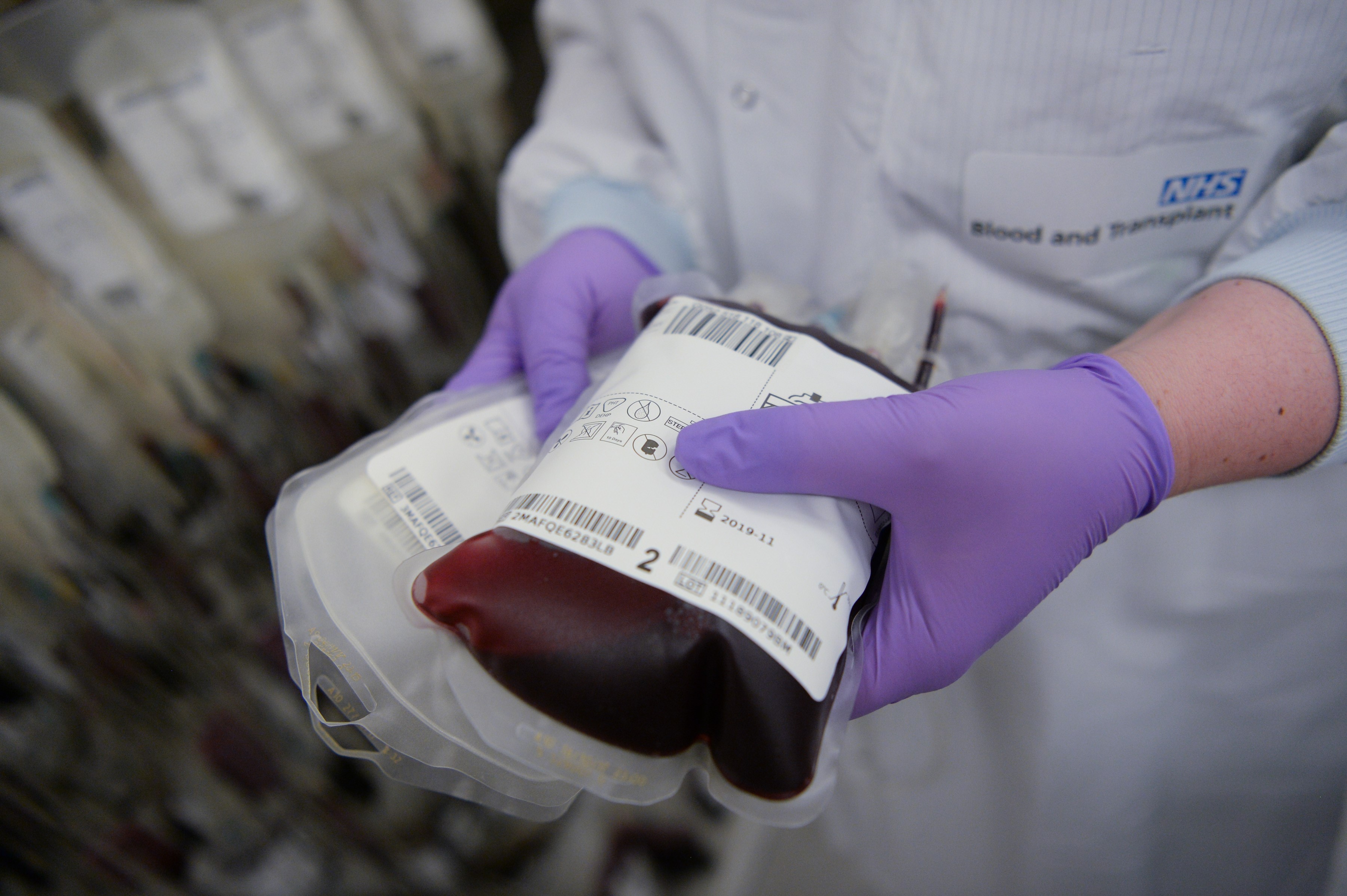 Publications - Blood Stocks Management Scheme