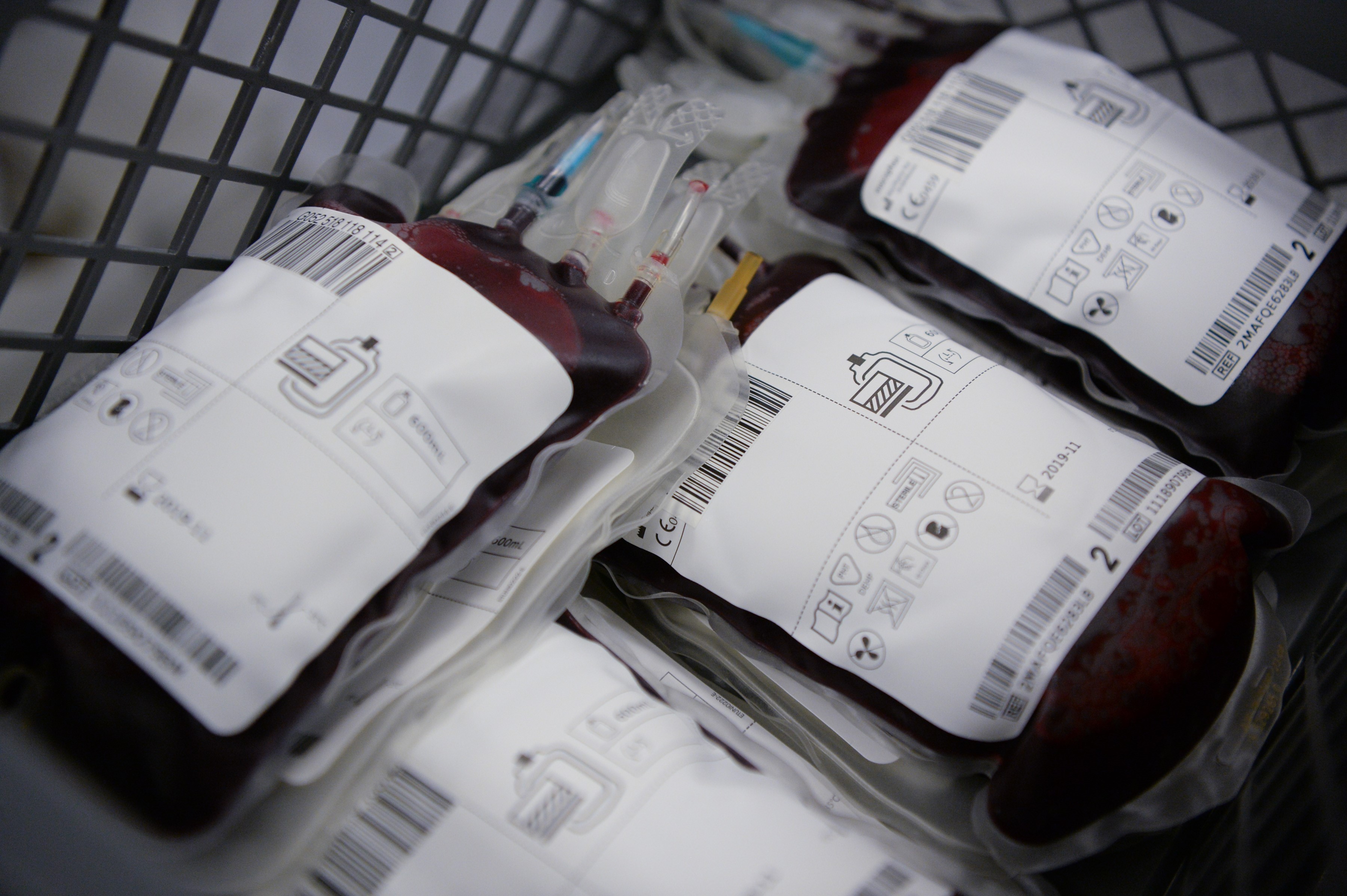 Surveys and audits - Blood Stocks Management Scheme